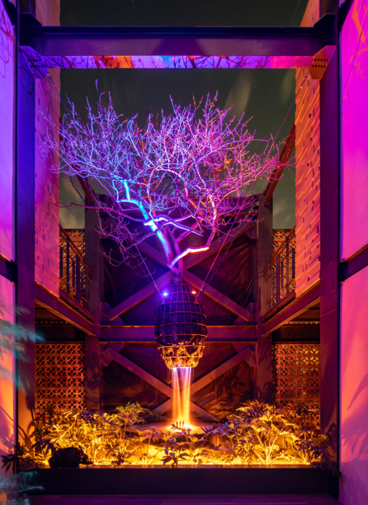 Carmen 20 - P R A X I S | Arquitectura Puebla